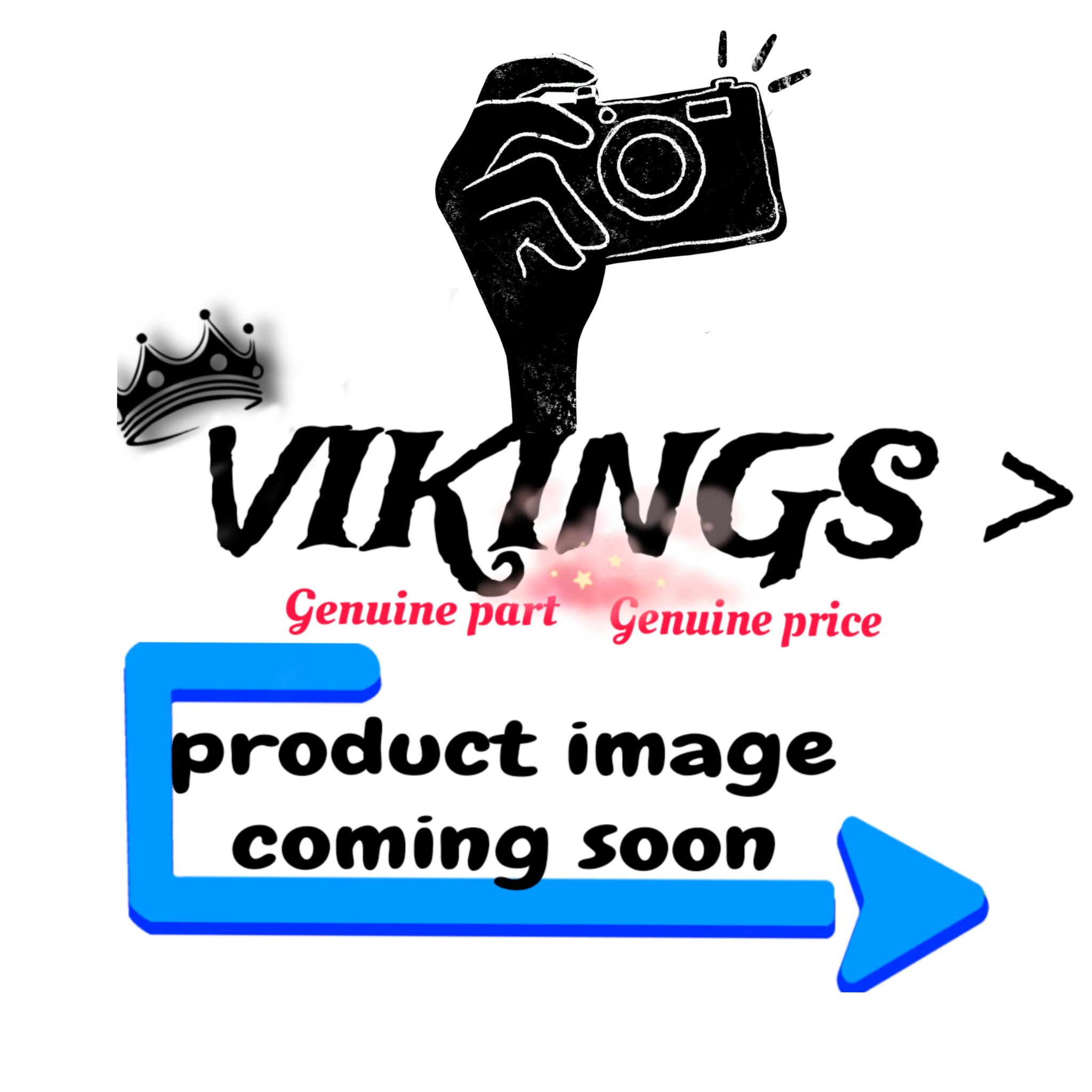 Leyparts PD601021 Spider Assembly Kit - Vikings Automobile
